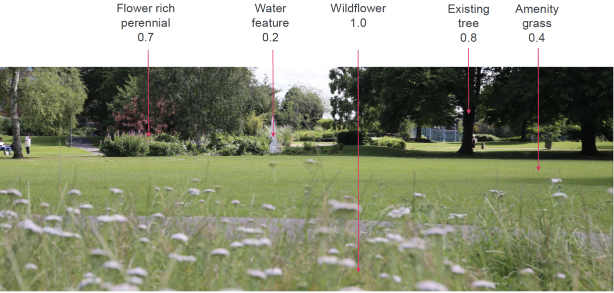 Factoring in the Urban Greening Factor (UGF) - Firstplan
