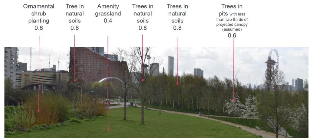 Factoring in the Urban Greening Factor (UGF) - Firstplan